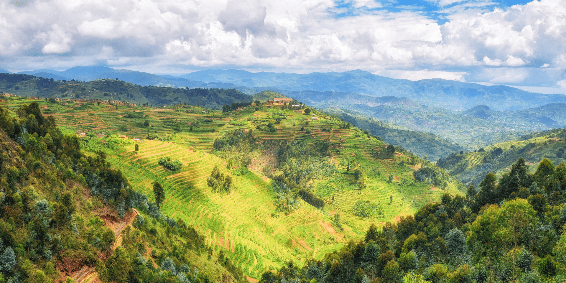 Rwanda E Visa Processing Time - Rwanda Immigration Services